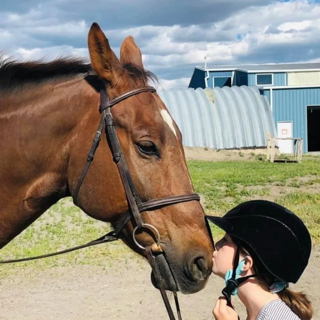 Teesdale Equestrian Centre