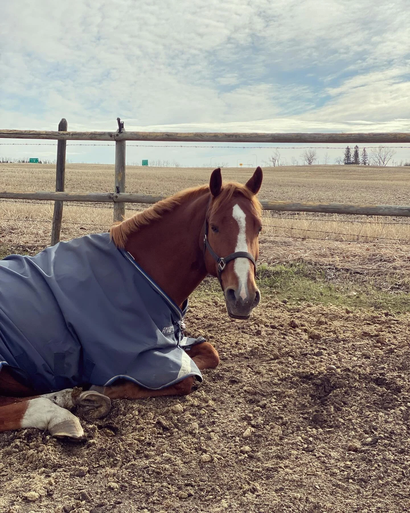 Teesdale Equestrian Centre