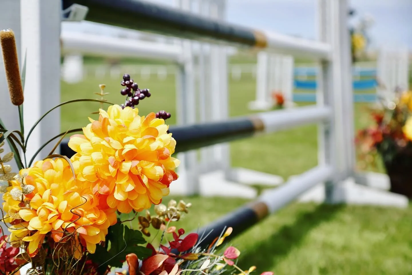 Teesdale Equestrian Centre