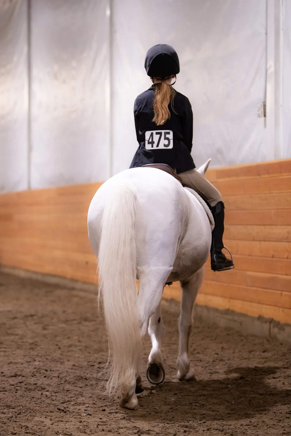 Novice Horse Shows and Rates — Teesdale Equestrian Centre