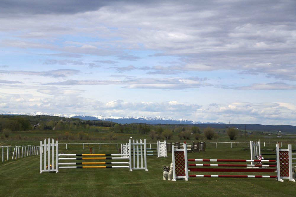 Teesdale Summer Tournament — Teesdale Equestrian Centre
