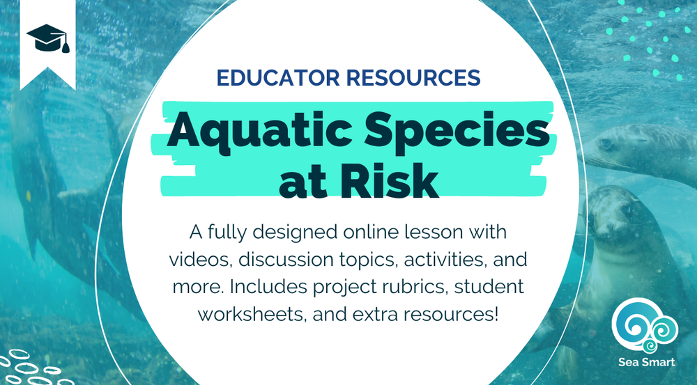Online Ocean Education Resources | Sea Smart School — Sea Smart