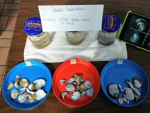 Activity - Climate Change and Ocean Acidification — Sea Smart