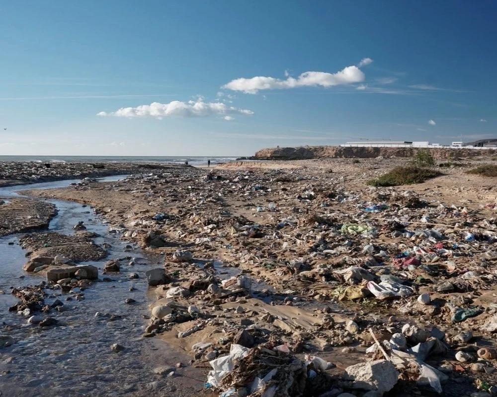 Online Ocean Education Resources | Sea Smart School — Sea Smart