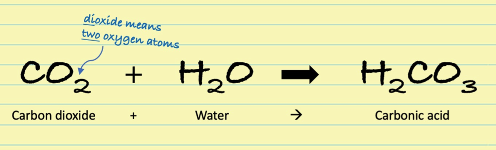 Activity - Climate Change and Ocean Acidification — Sea Smart
