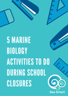 5 Marine Biology Activities to do During School Closures — Sea Smart