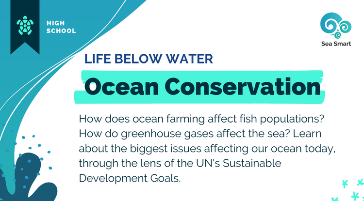 Online Ocean Education Resources | Sea Smart School — Sea Smart