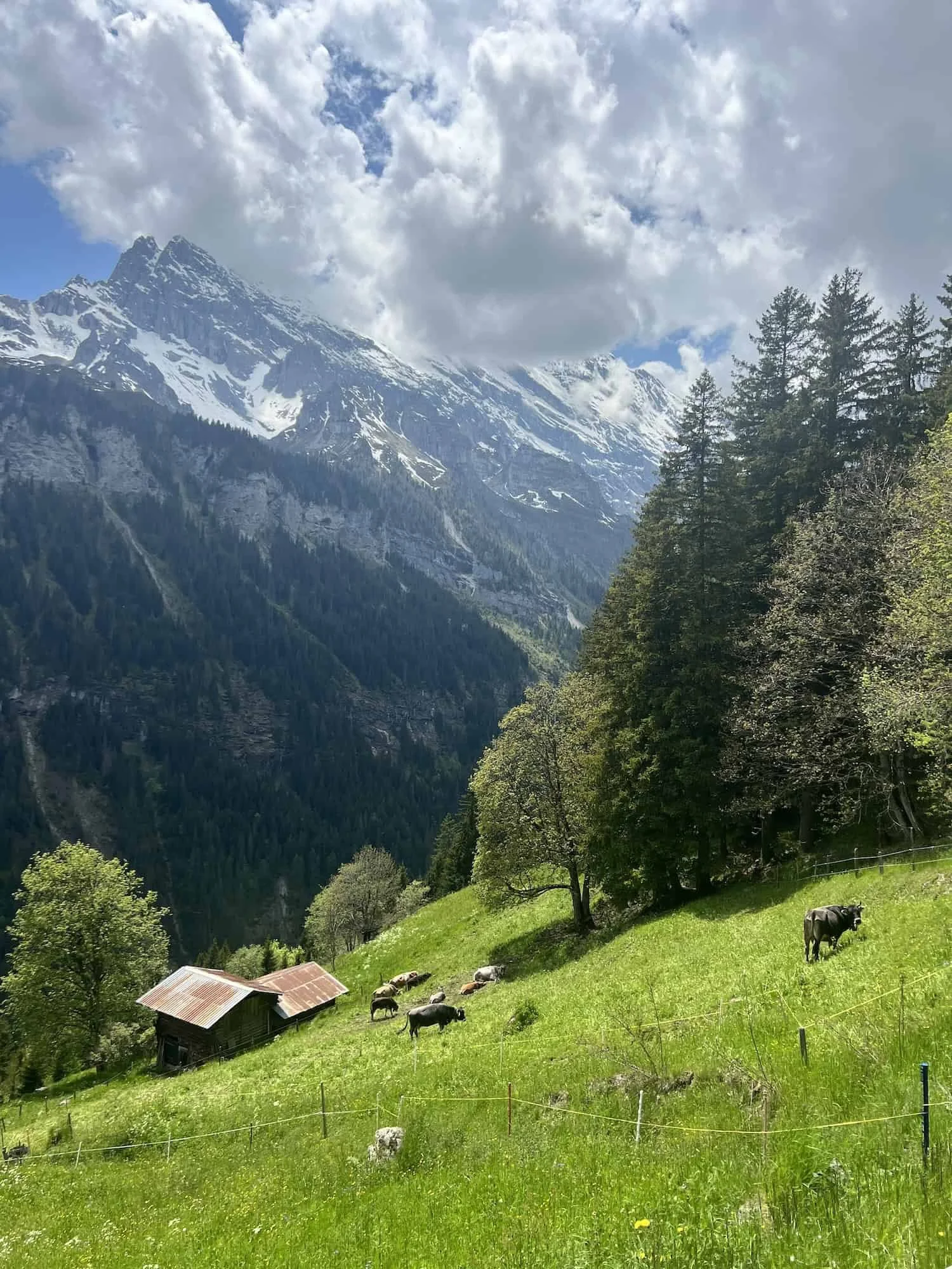Where to Stay in The Oberland: Interlaken vs Lauterbrunnen