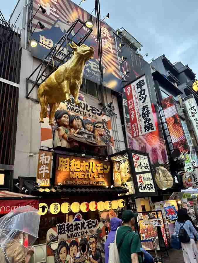 Ultimate Guide to What to Wear in Osaka: Fashion Tips for Every Season ...