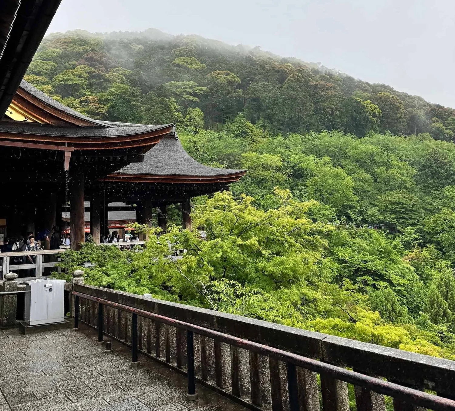 3 Days in Kyoto Itinerary Wearing Kimonos Around Japan