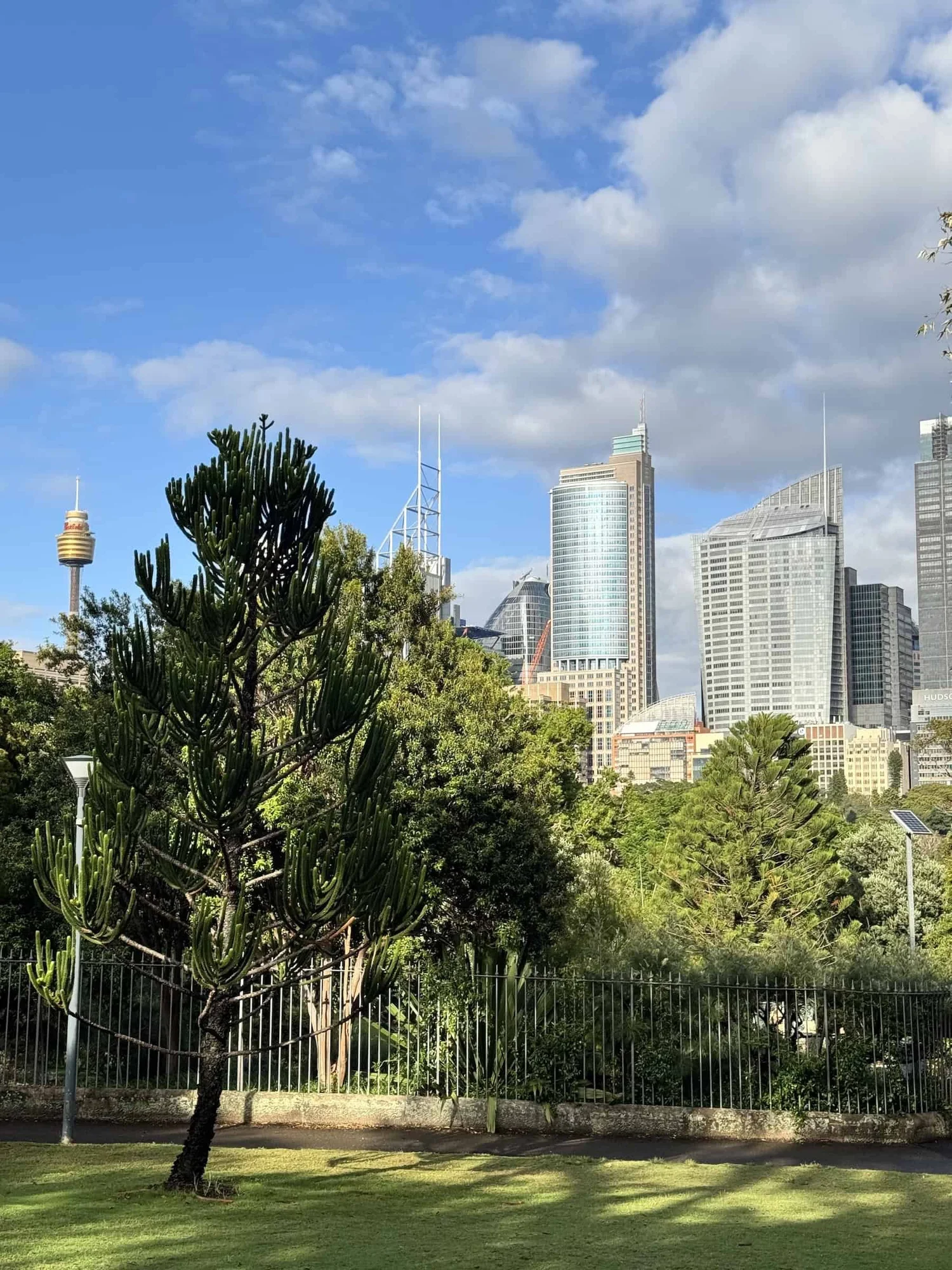 What to Wear in Sydney, Australia: Summer Down Under Style