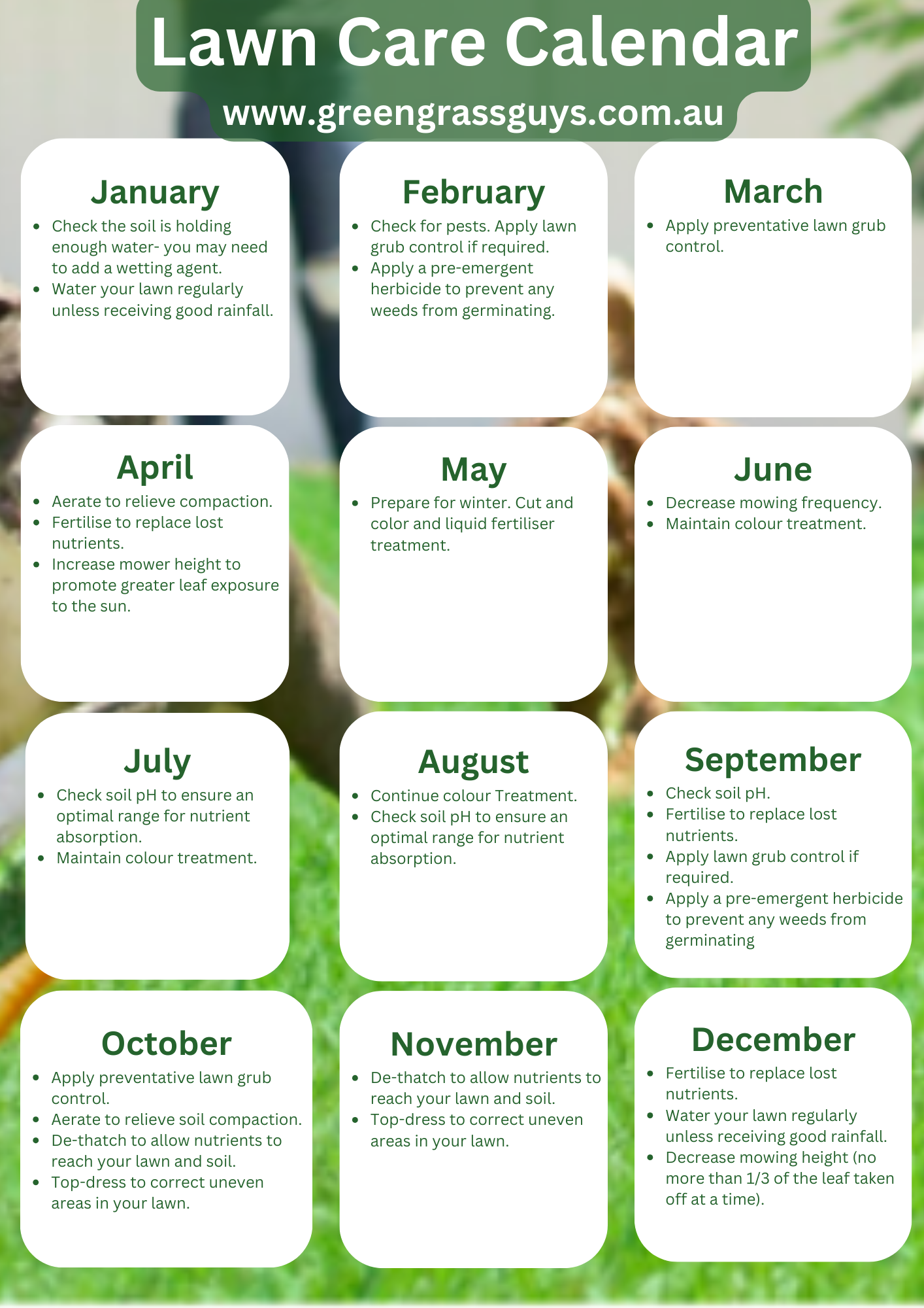 Lawn Care Calendar — Green Grass Guys