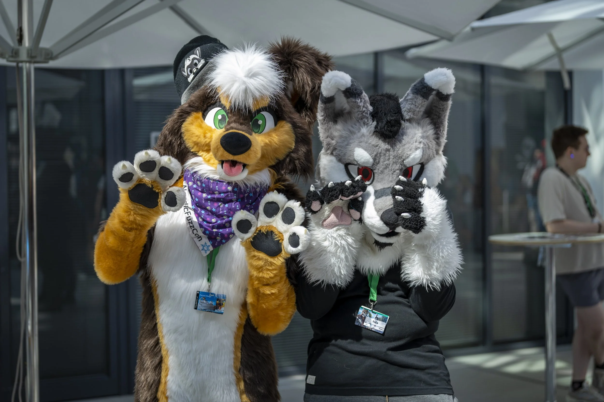 Furry Camera