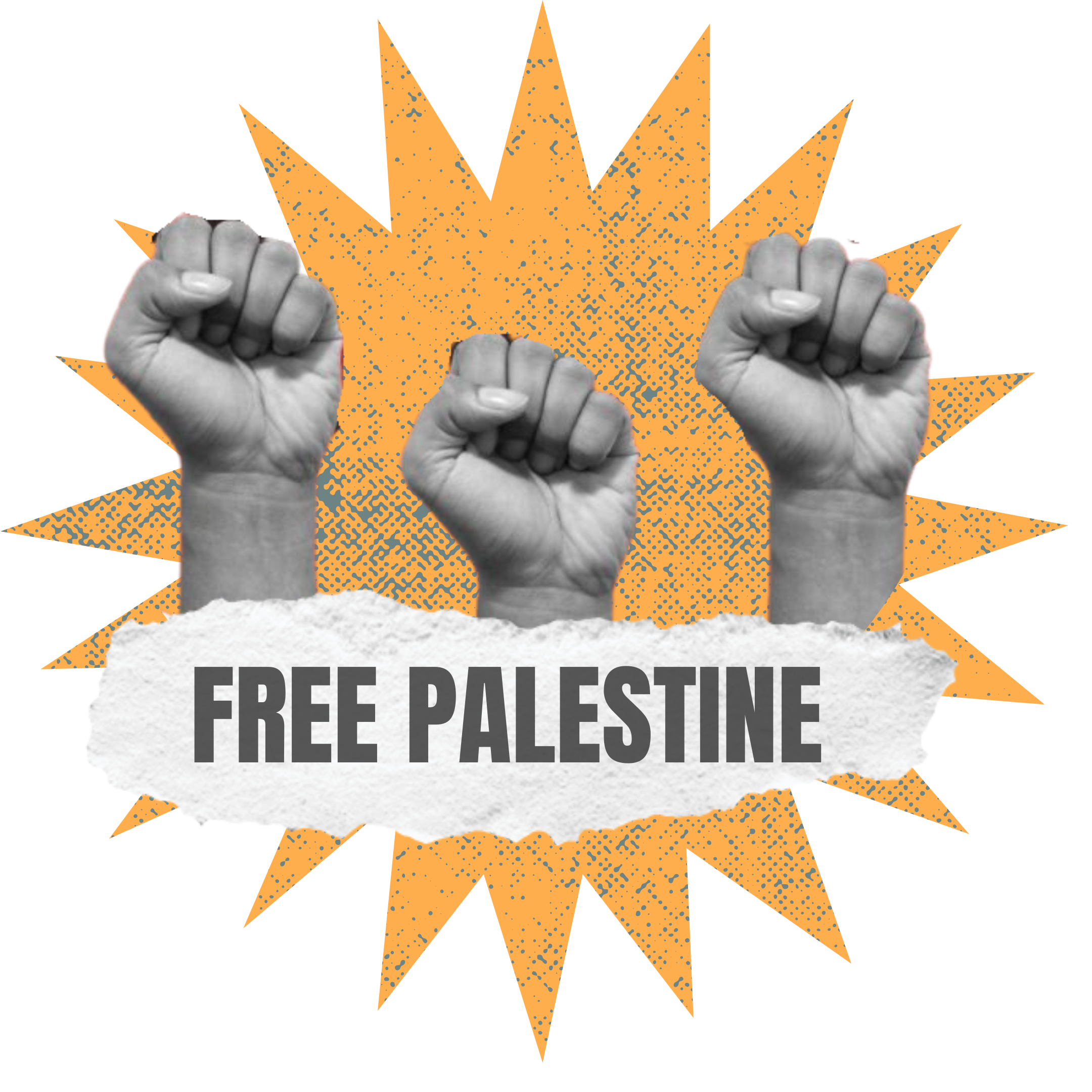 Free Palestine Resources — Young Feminist Solidarity With Palestine