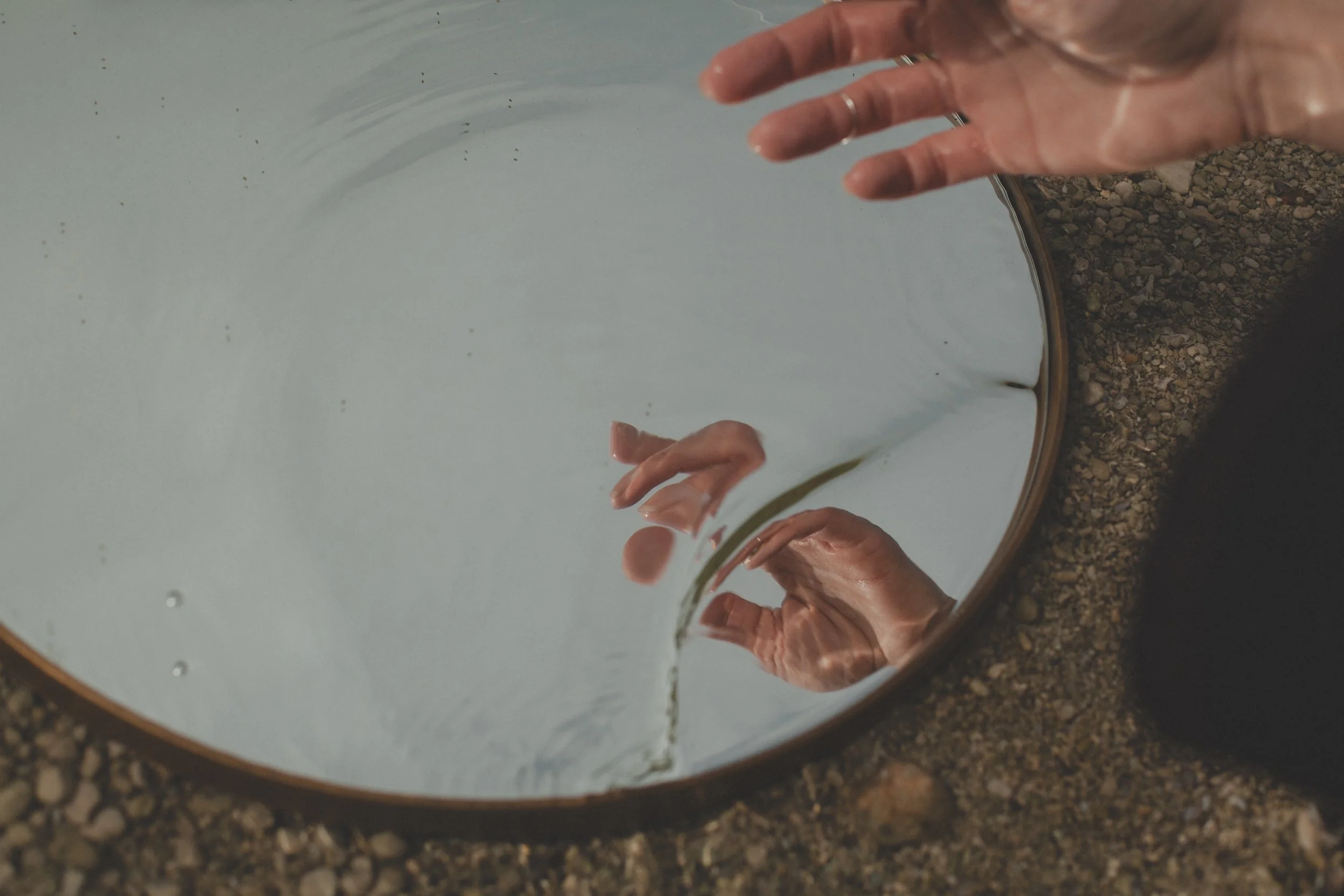 forenoon studios // brand strategy, design & visuals