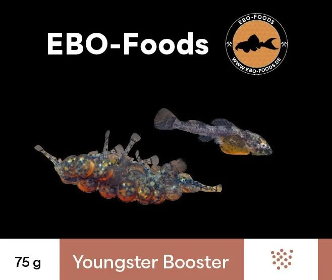 Artemia Paste 125g — EBO Foods UK