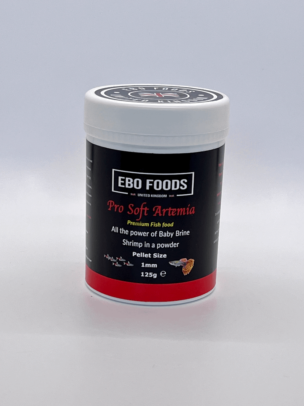 EBO FOODS — EBO Foods UK