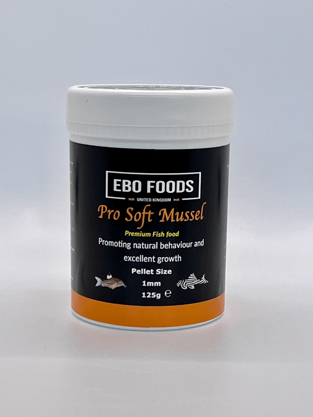 EBO FOODS — EBO Foods UK