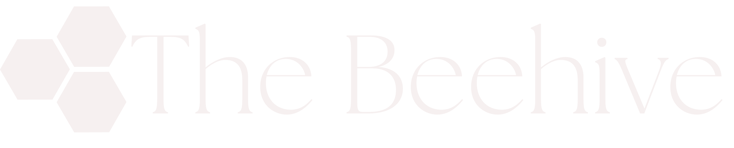 Team — The Beehive