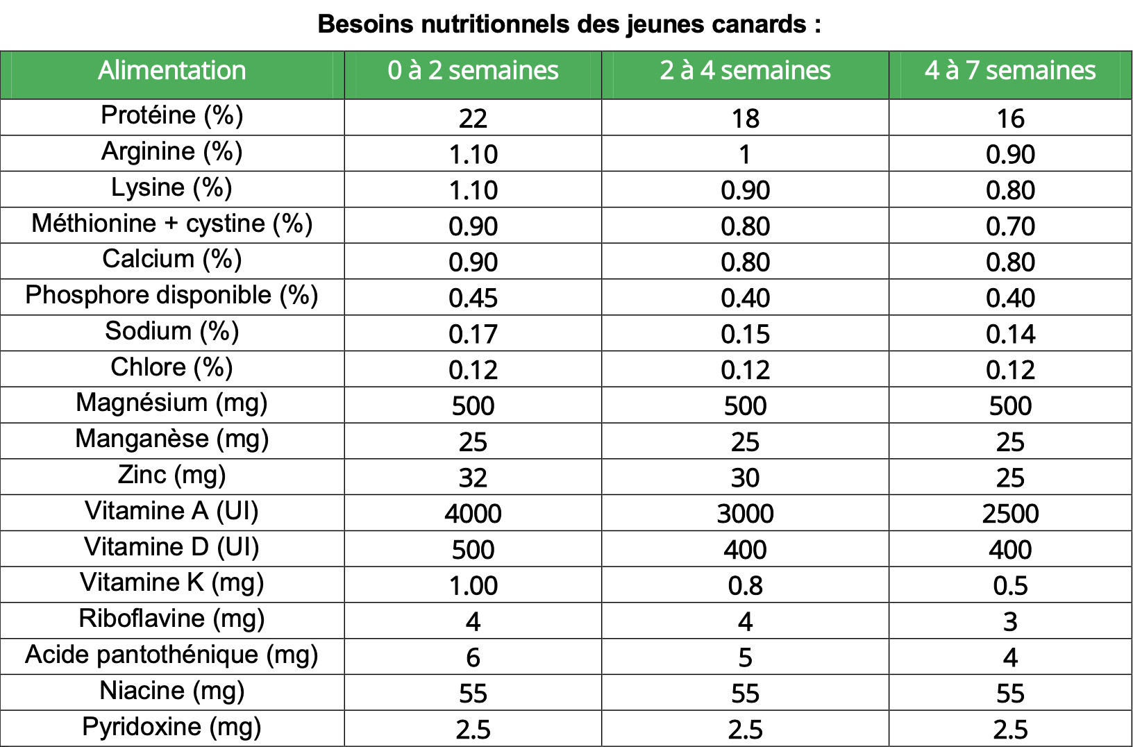 Guide complet pour l’élevage et l’alimentation des canetons — Ferme ...