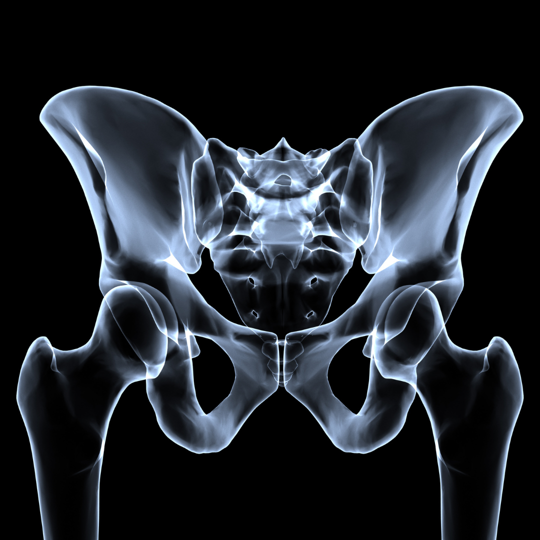 Pelvic Health — Indiana Physical Therapy