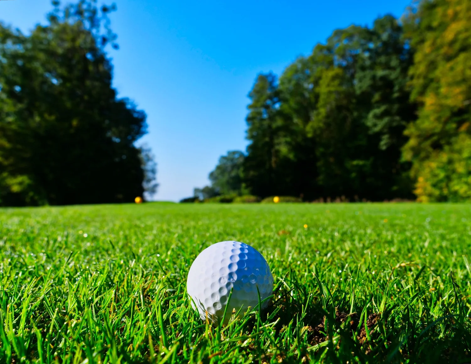 Membership — Greenville Country Club