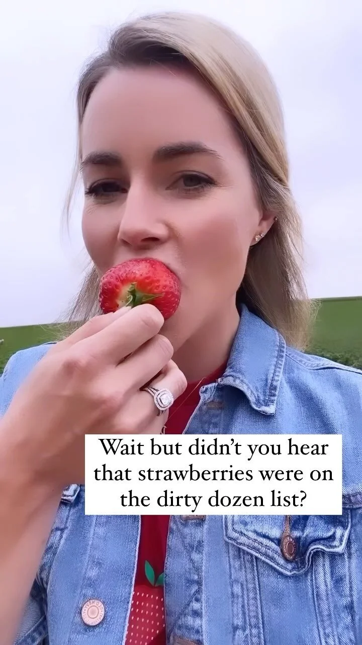 Banza- A Dietitian Review — Lauren Twigge Nutrition