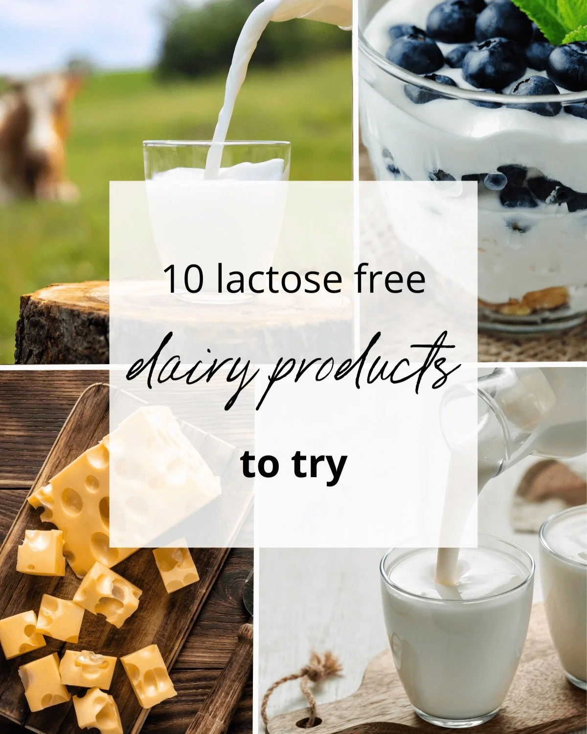10 Lactose Free Dairy Products To Try — Lauren Twigge Nutrition
