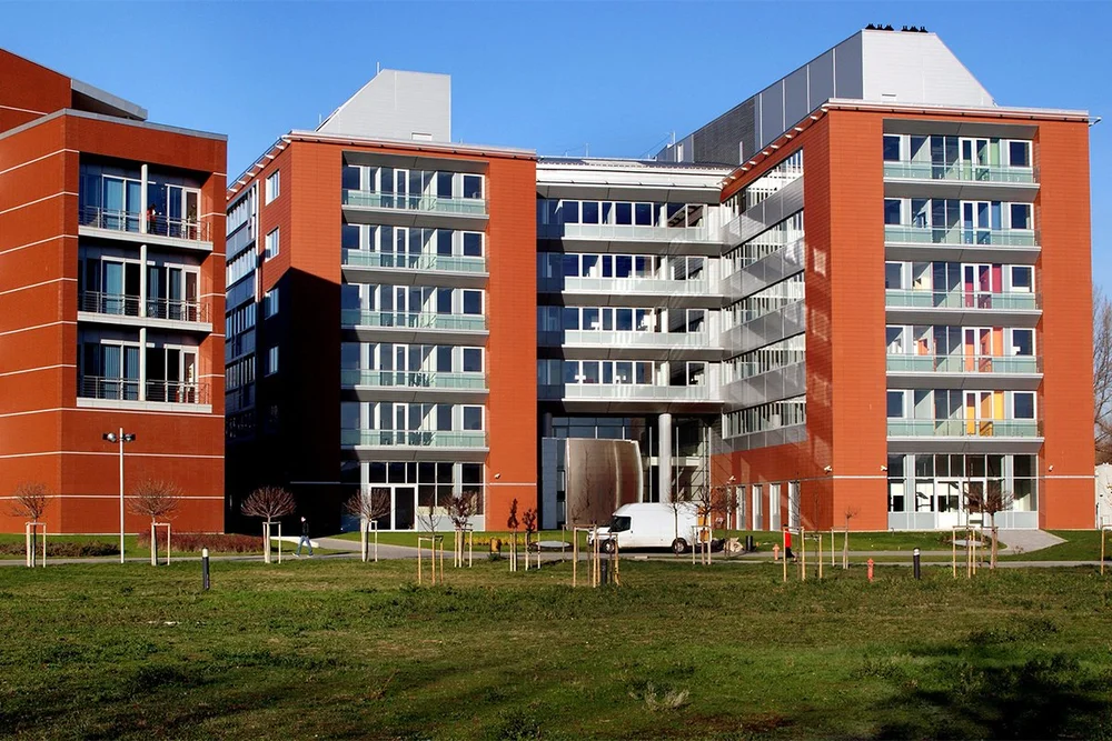 Members Bio — Rona Laboratory