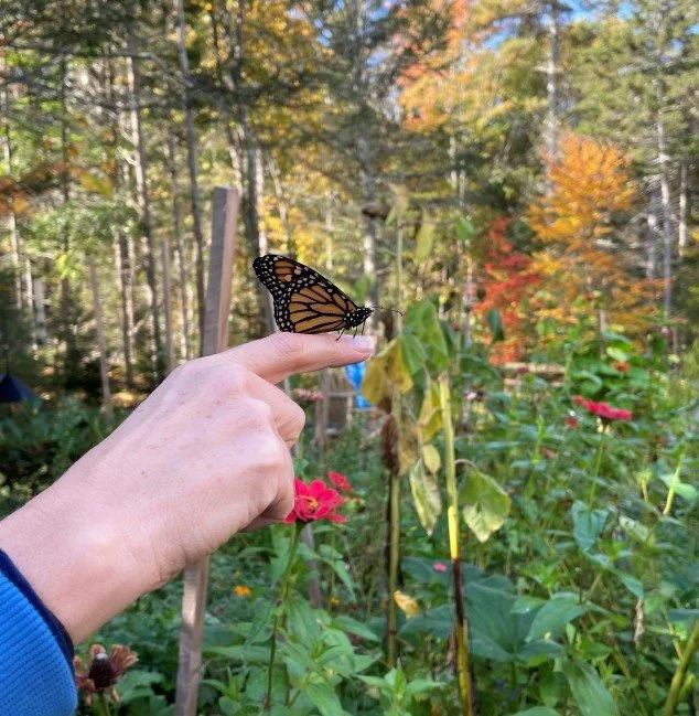 Backyard Rewilding Through Our Conservation Landscape Certificate ...