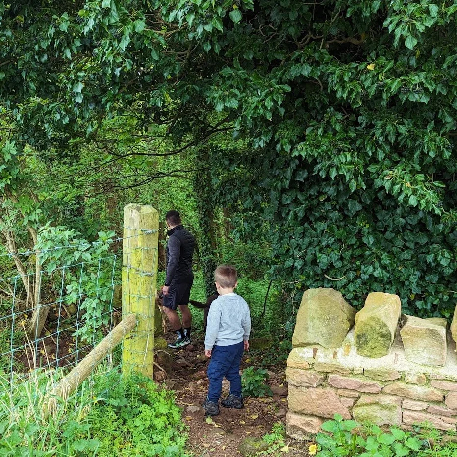 Papple Steading: Papple Wood and the Whittinghame Water — Exploring ...