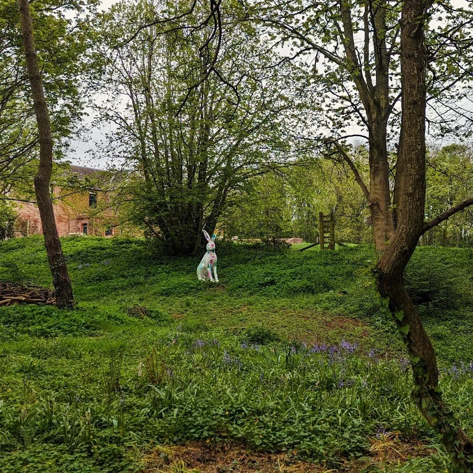Papple Steading: Papple Wood and the Whittinghame Water — Exploring ...