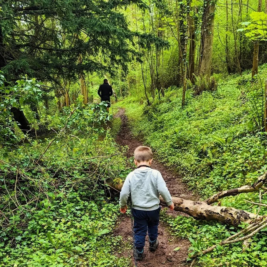 Papple Steading: Papple Wood and the Whittinghame Water — Exploring ...