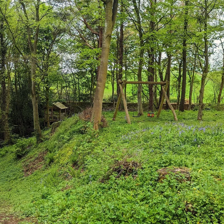 Papple Steading: Papple Wood and the Whittinghame Water — Exploring ...