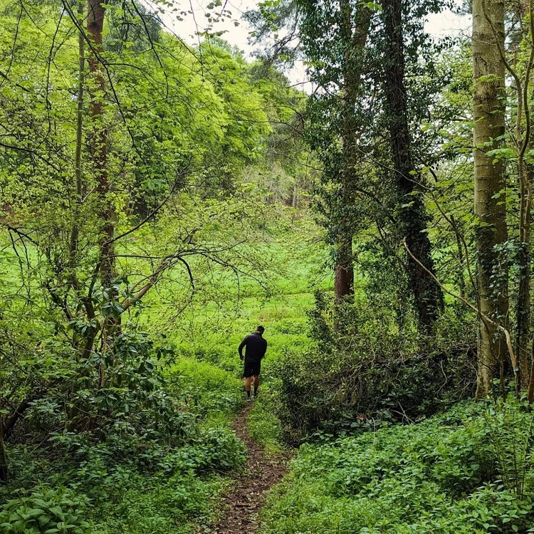 Papple Steading: Papple Wood and the Whittinghame Water — Exploring ...