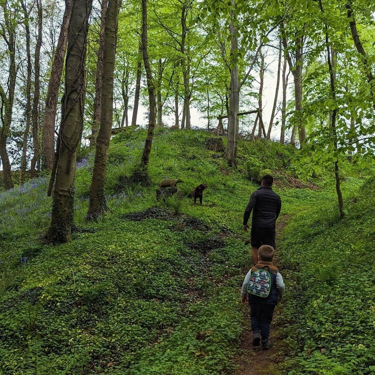 Papple Steading: Papple Wood and the Whittinghame Water — Exploring ...