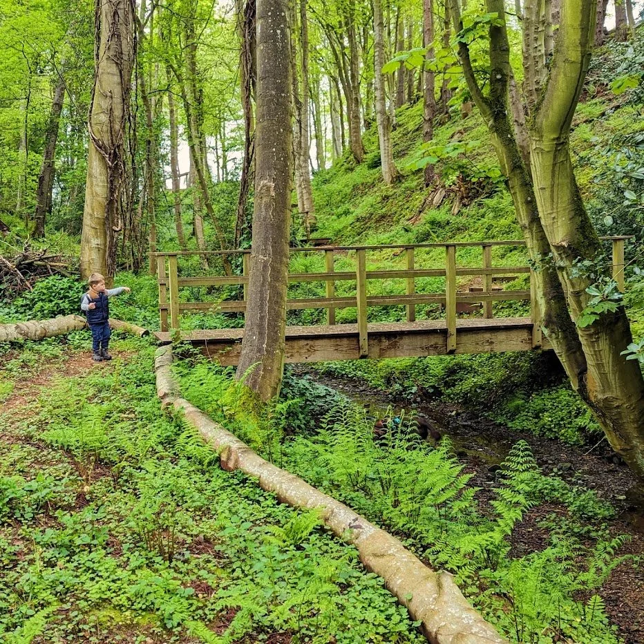 Papple Steading: Papple Wood and the Whittinghame Water — Exploring ...