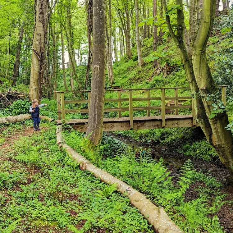 Papple Steading: Papple Wood and the Whittinghame Water — Exploring ...