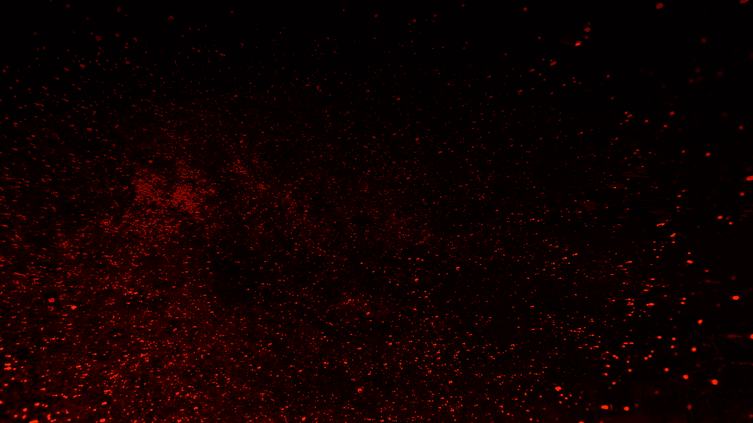 Services — Adelaide Capital