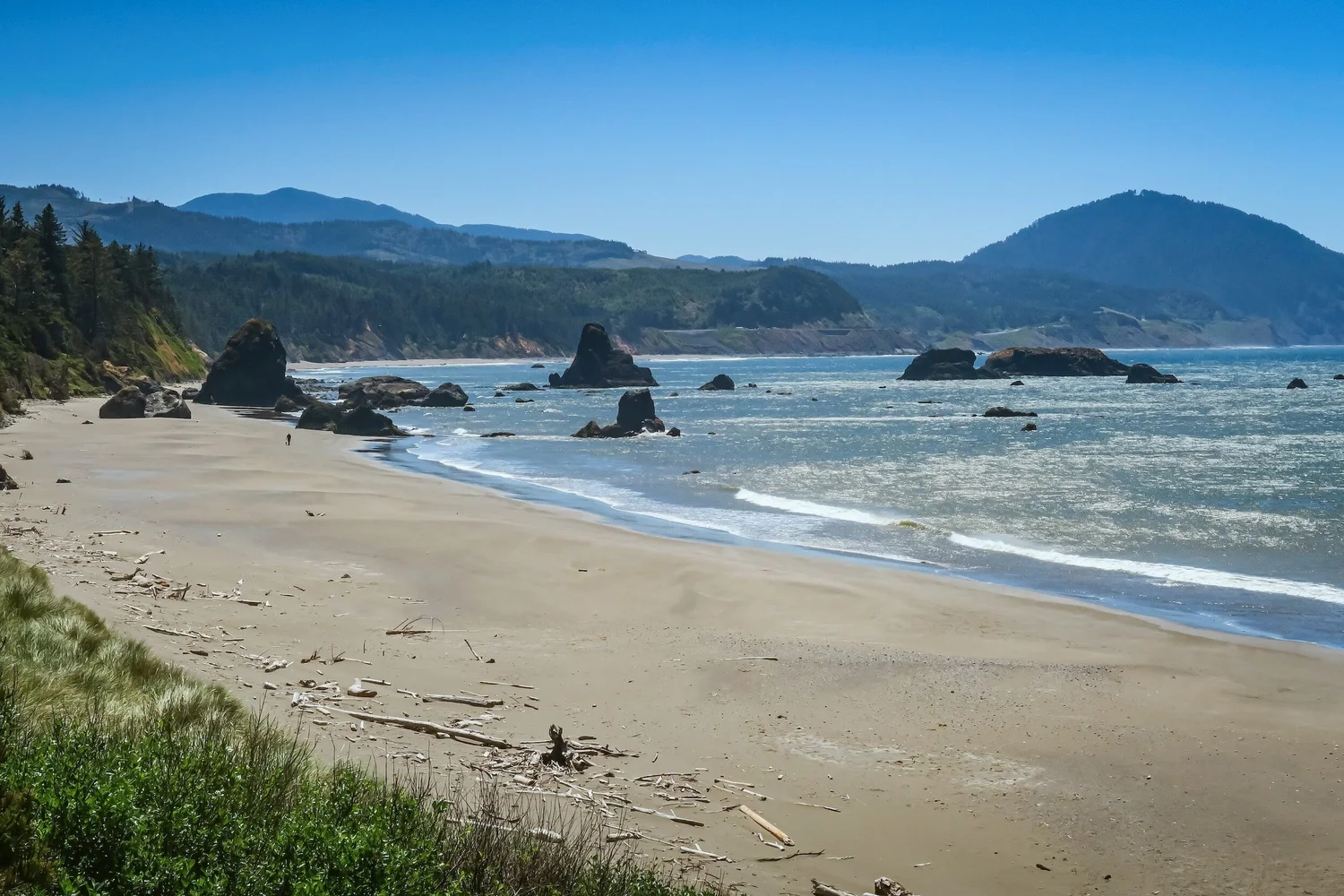 Discover Port Orford