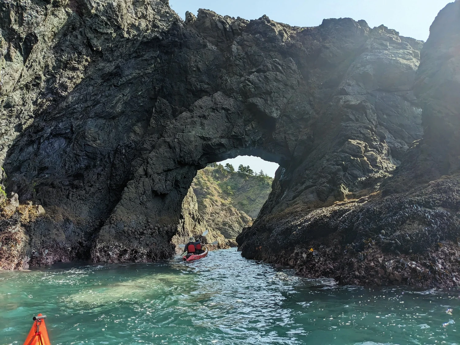 Discover Port Orford