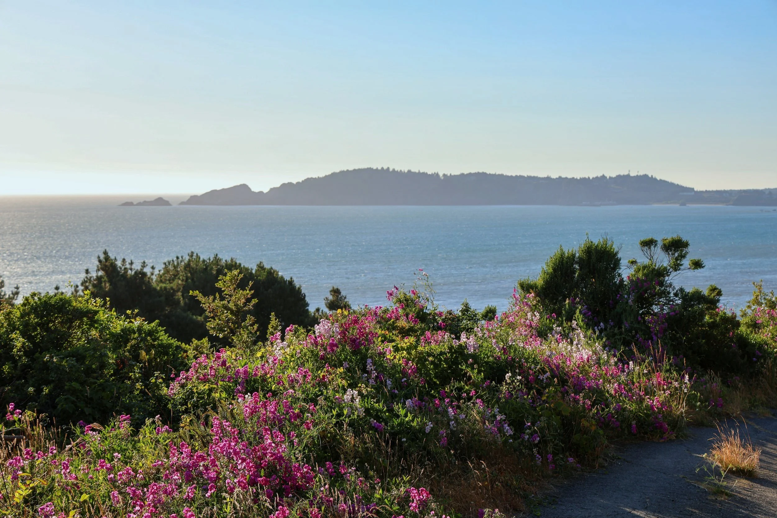Plan Your Trip to Port Orford, Oregon — Discover Port Orford