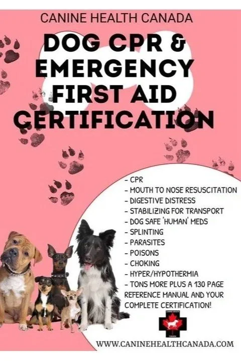 Seminars — Ohana K9 Centre