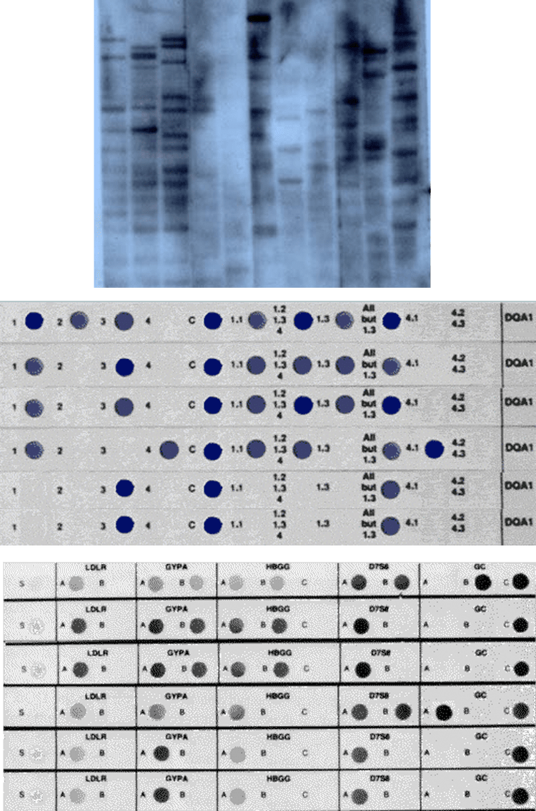 About — Association of Forensic DNA Analysts and Administrators
