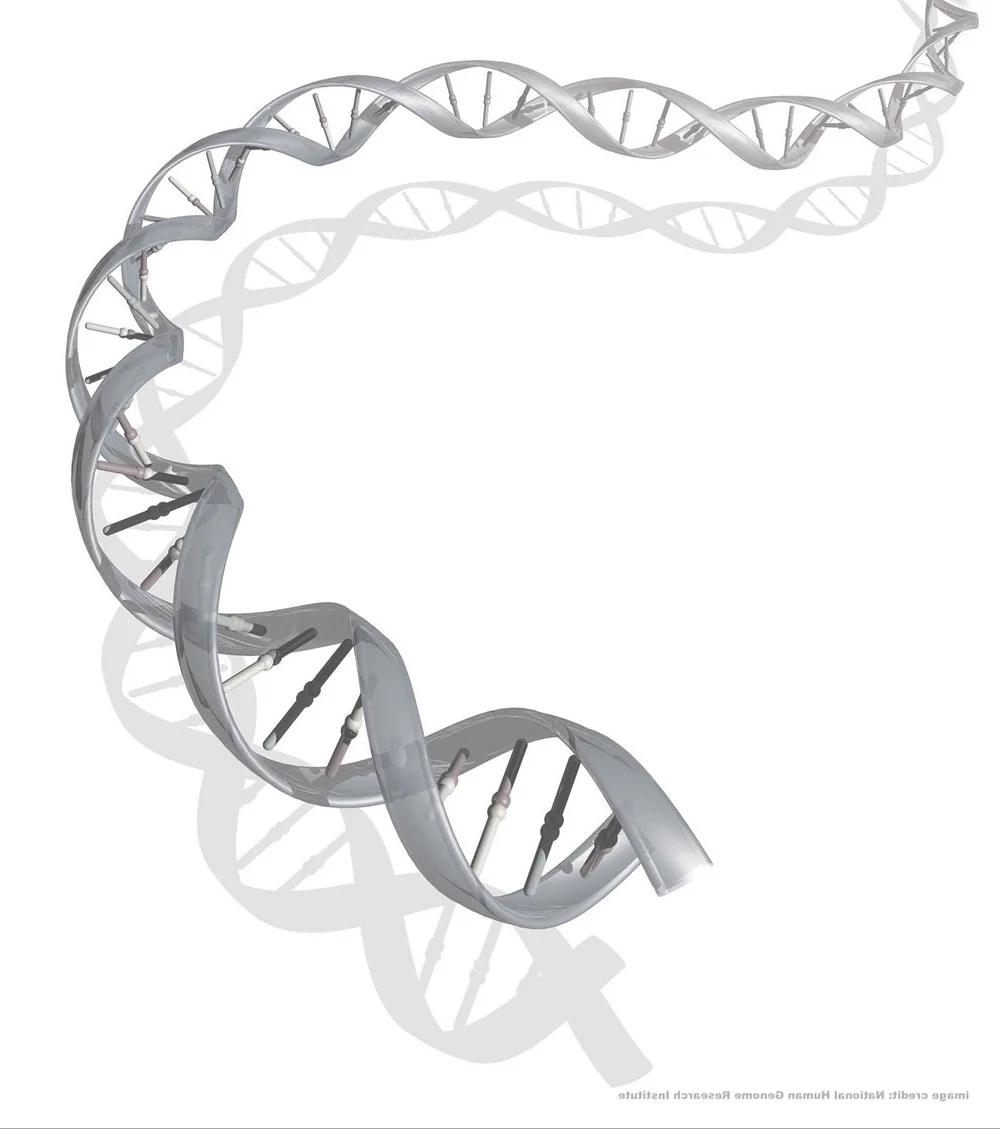 Apply for Membership — Association of Forensic DNA Analysts and ...