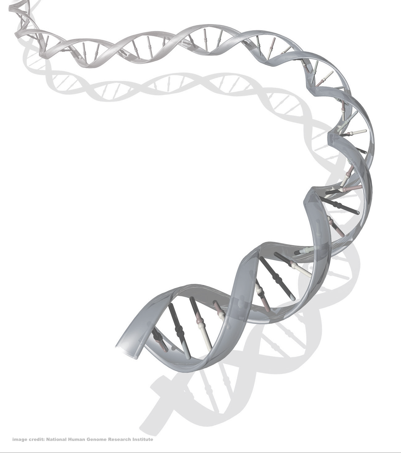 Association of Forensic DNA Analysts and Administrators