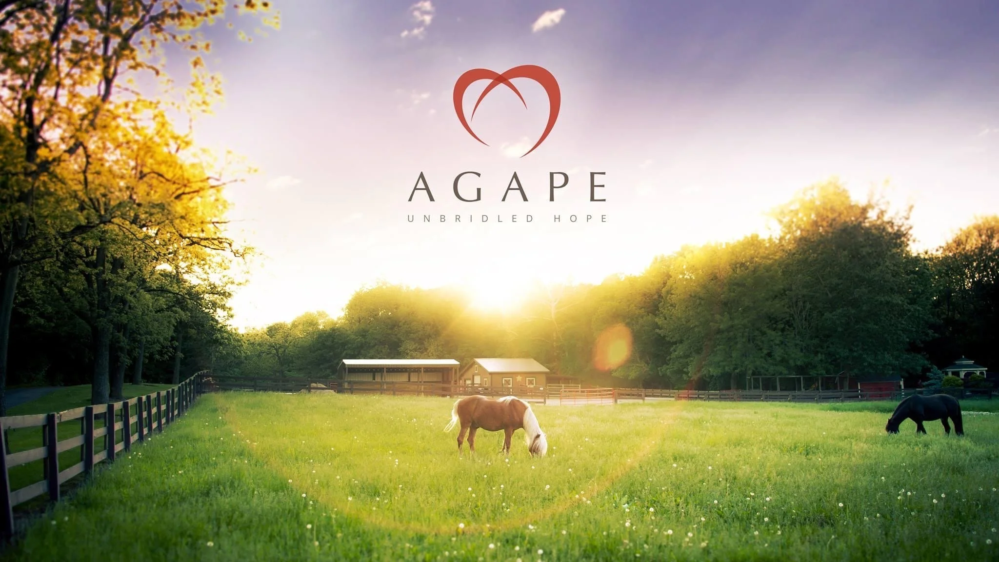 Partners — RJS Foundation