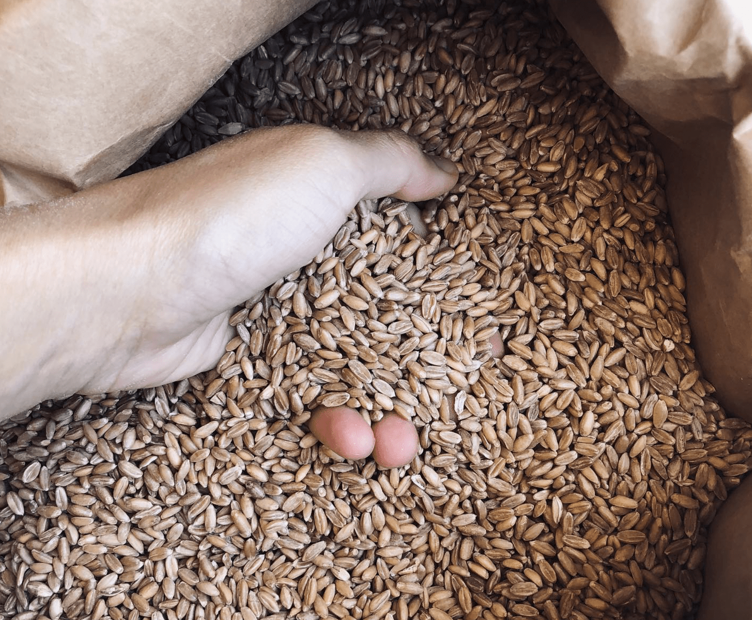 Rye Goods - Local Organic Bakery