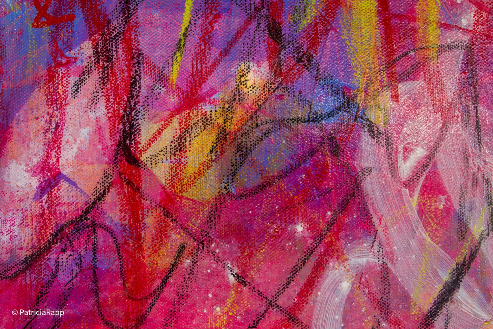 Shop - Patricia Rapp — Patricia Rapp