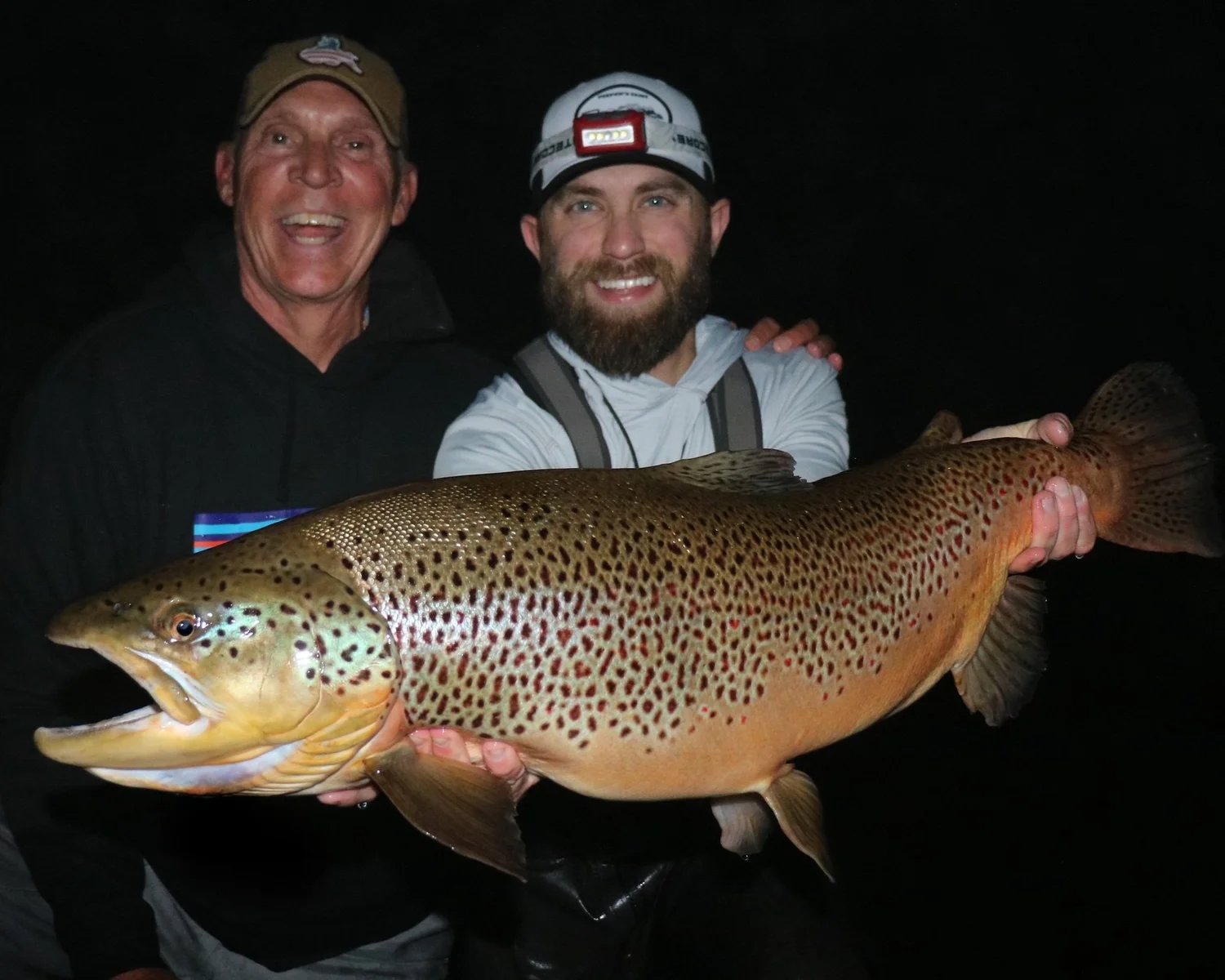 Wild Trout
